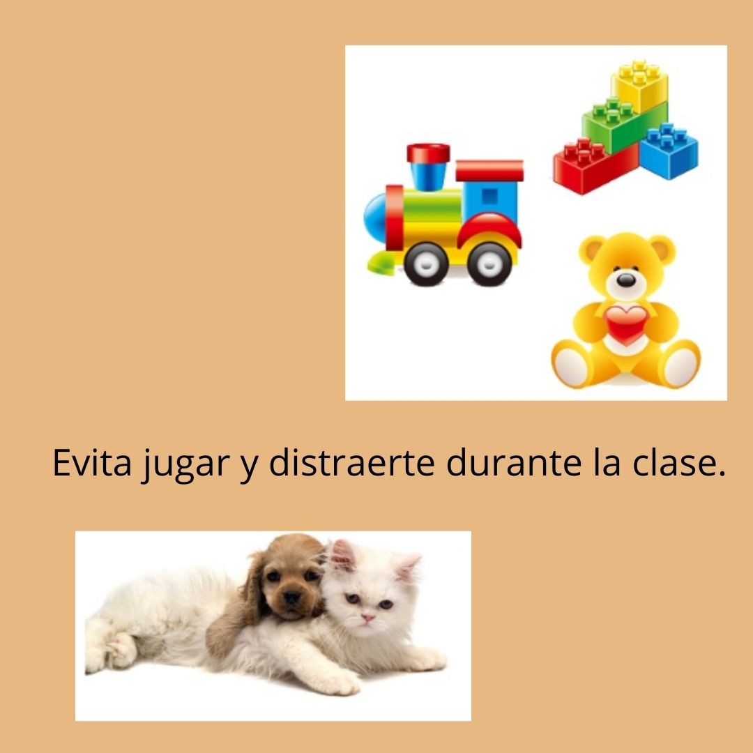 Normas para las clases virtuales. – Colegio Portales